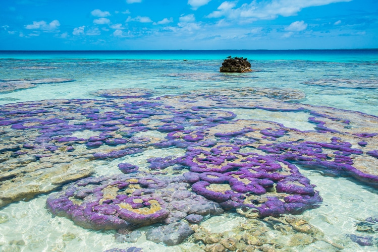 Guide Archipel Des Tuamotu - Explorez Les Atolls